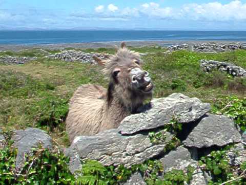 Our Bike Ride On Inishmore Island